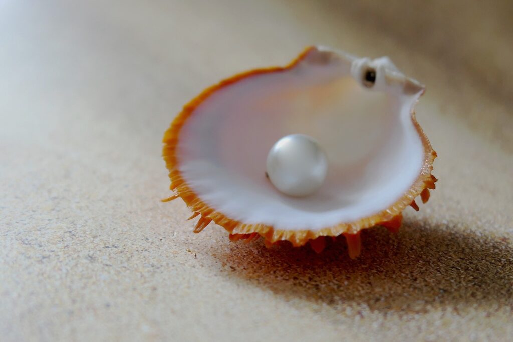 How to take care of precious Pearls - Heirlooms